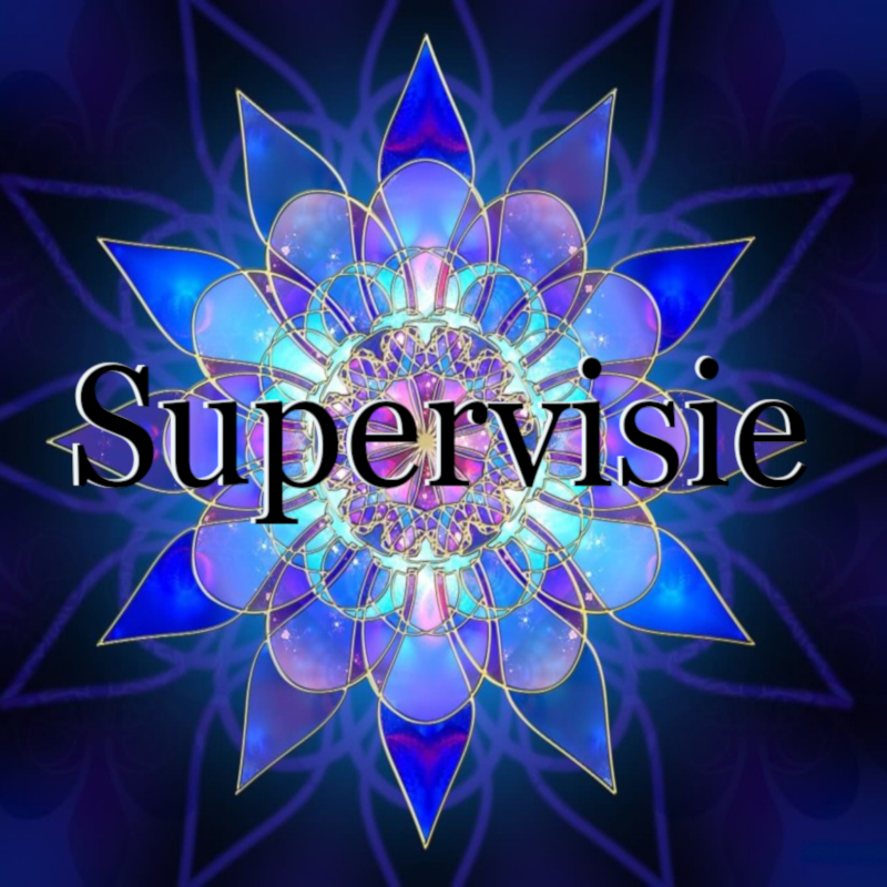 Jungacademie Nederland - Supervisie